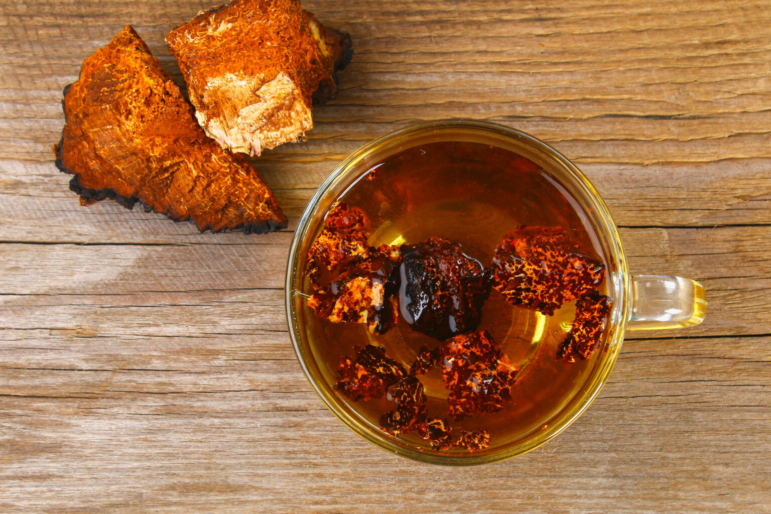 The potential of Chaga - Mushrooms Health